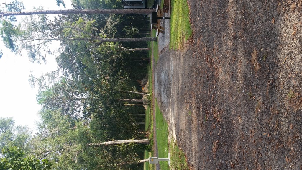 20170924_090548 - Flat Creek Family Campground